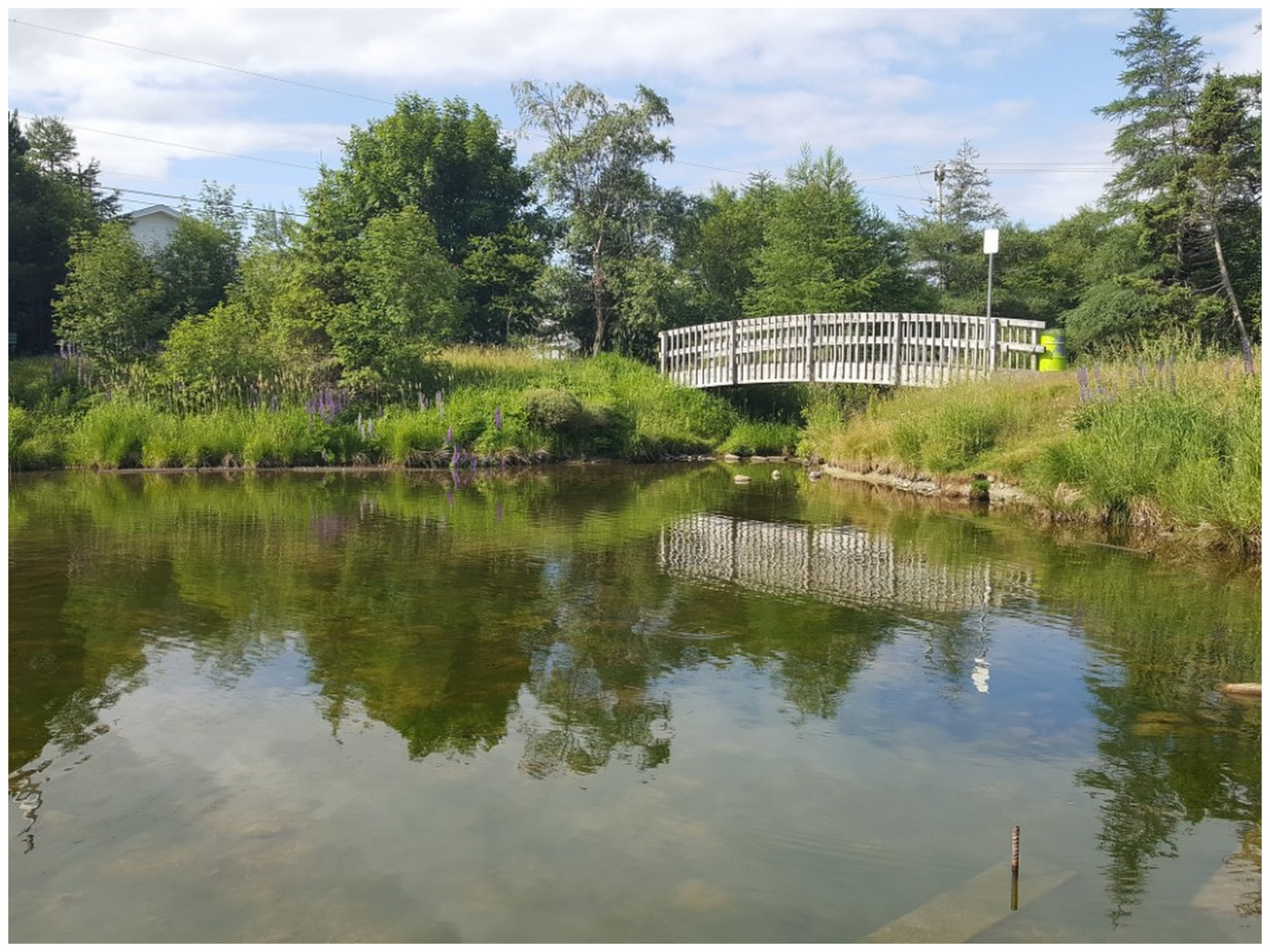 Communities of St. John's